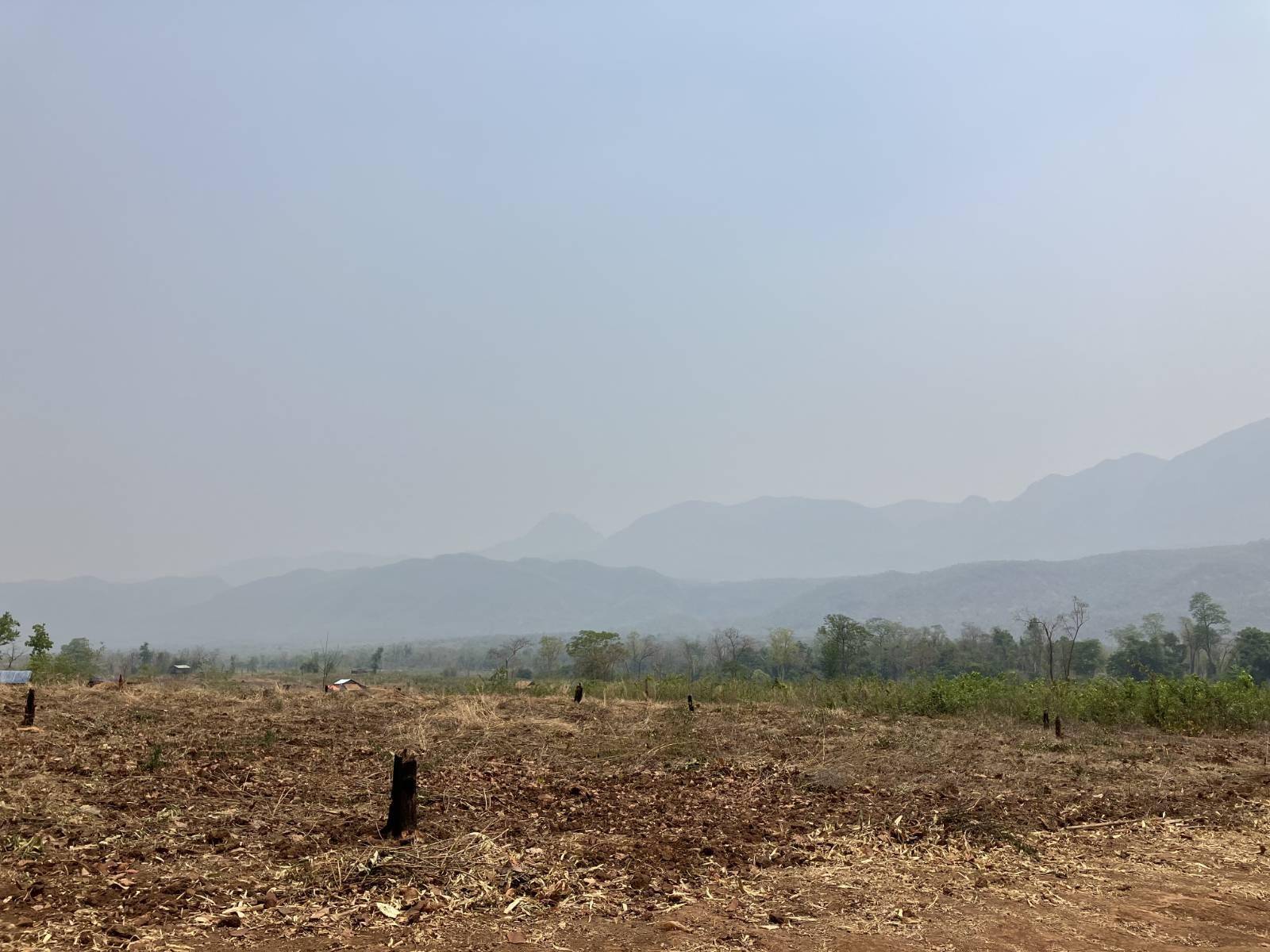 Land Rights Activists Say a Strong Mechanism Is Needed to Resolve Land ...